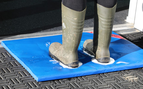 Sweetmat Disinfectant Mats | Disinfection Mats