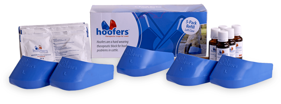 Hoofers | Therapeutic Cow Clogs