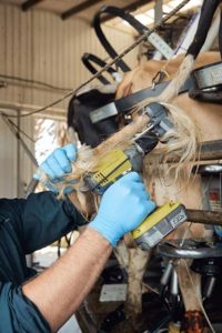 Tailwell | Power Tail Trimmer