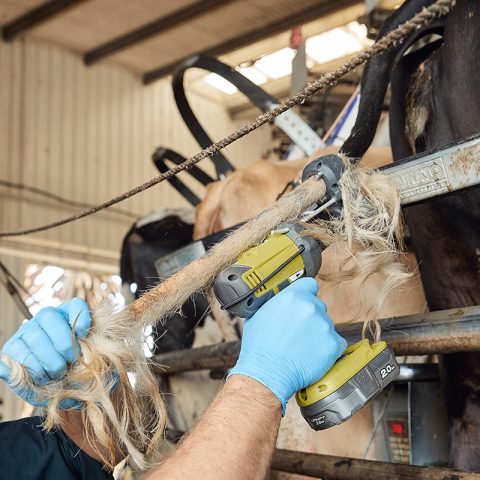 Tailwell | Power Tail Trimmer
