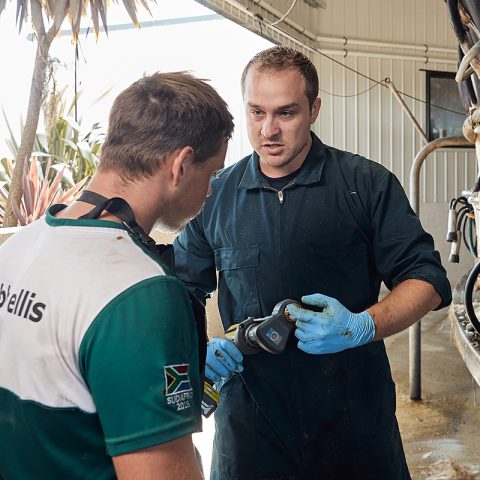 Tailwell | Power Tail Trimmer