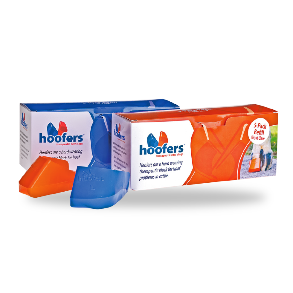 Our Brands | Shoof International