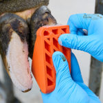 Our History | Shoof International