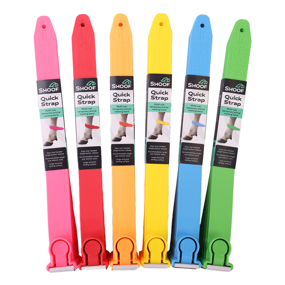 Our Brands | Shoof International